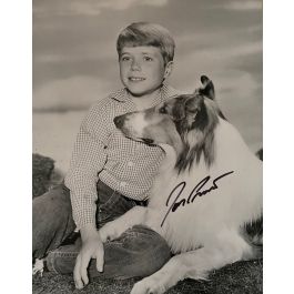 Jon Provost Lassie Original Autographed 8X10 photo #31